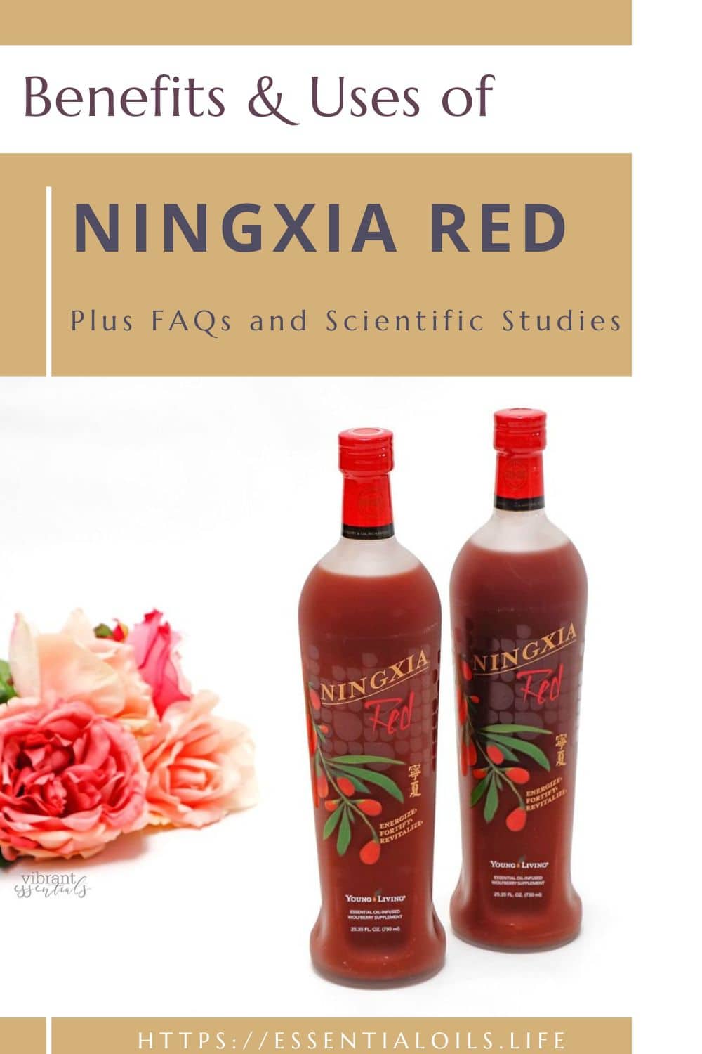 NingXia Red: The ONE Supplement Drink You Need